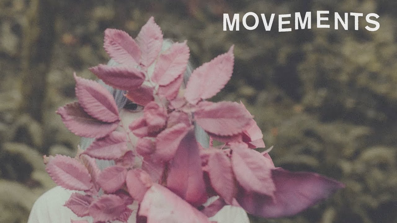 Movements "Daylily" Lyrics Meaning